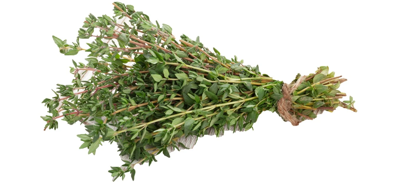 Tomillo Bandeja 100g - Huerto Urbano